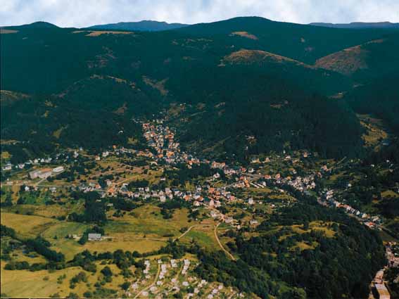 Urlaub in Goldlauter am Rennsteig (Thüringer Wald)