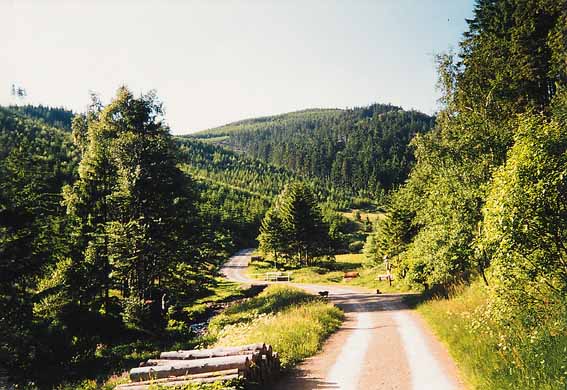 Urlaub in Goldlauter am Rennsteig (Thüringer Wald)